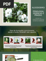 6d21e Bula Fox Xpro Fungicida | PDF | Embalagem e rotulagem | Armazém