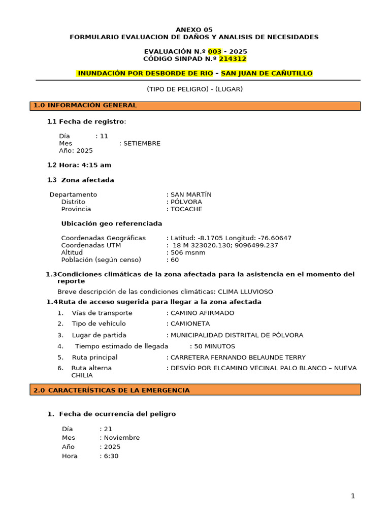 Anexo 05 Formulario Edan | PDF | Ambulancia