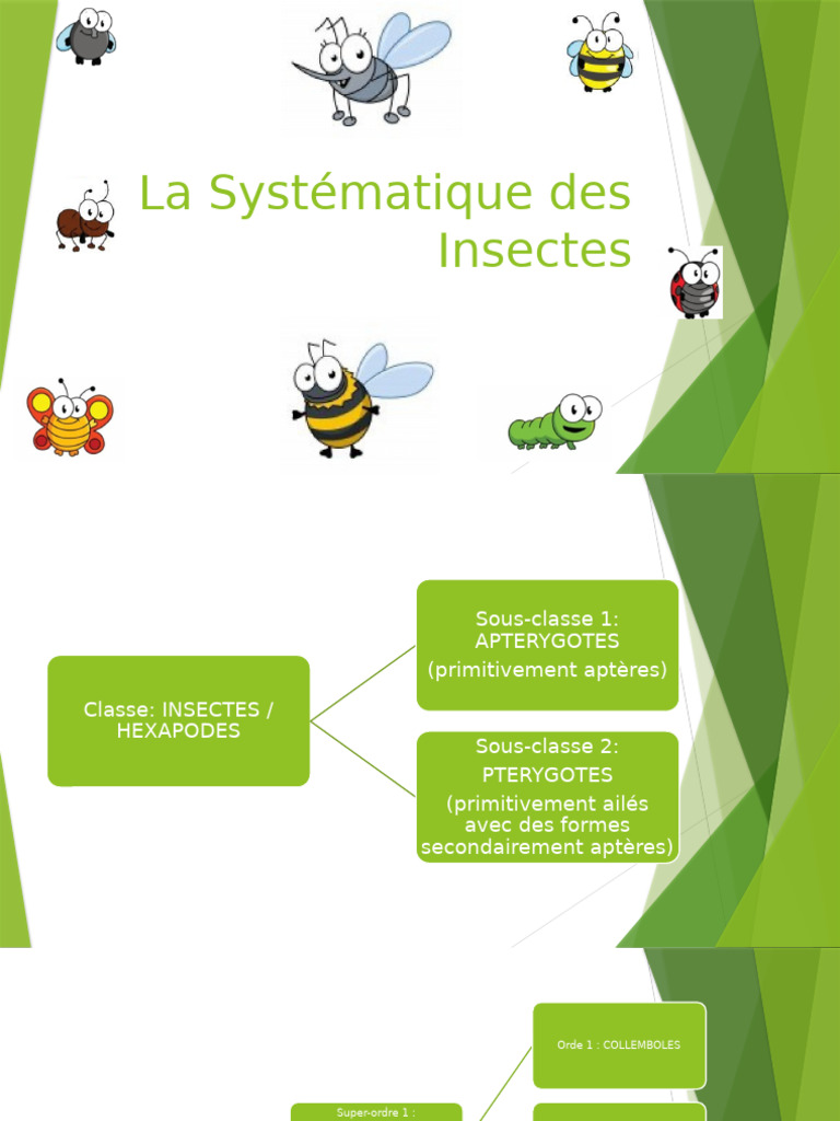 Classification des Insectes | PDF | Arthropodes | Hexapodes