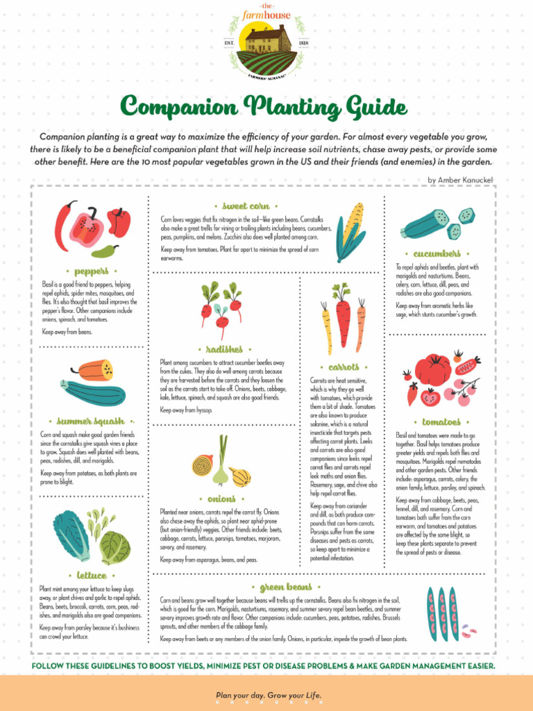 Companion Planting Guide | PDF