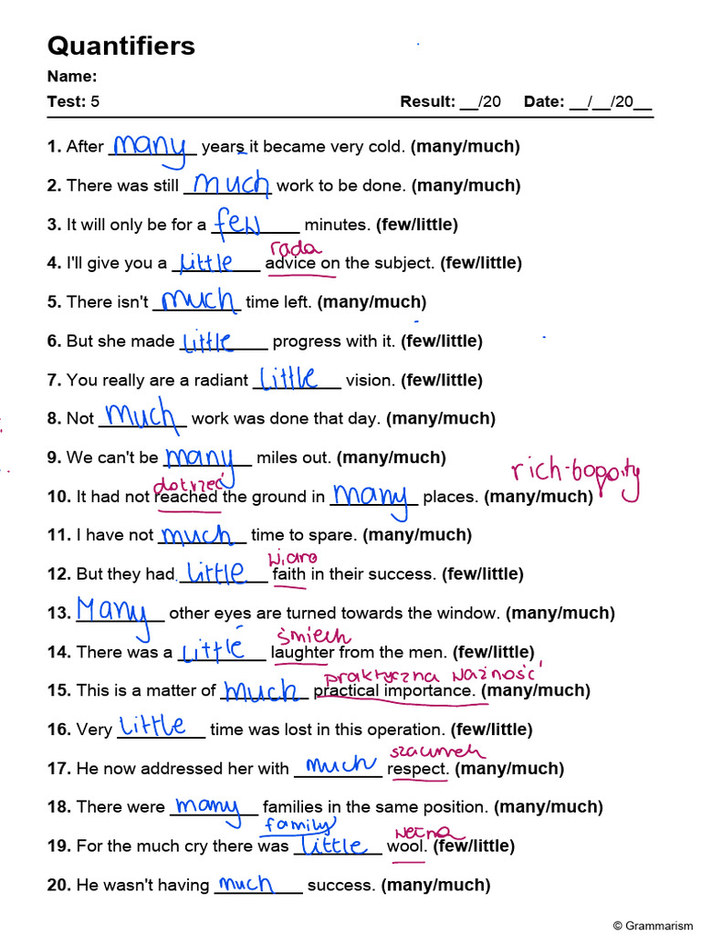 Grammarism Quantifiers Test 5 1049973 | PDF