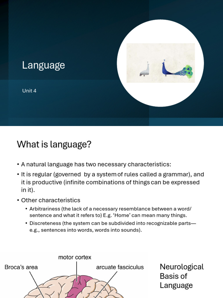 Unit 4 - Cognitive Psychology | PDF | Speech | Aphasia