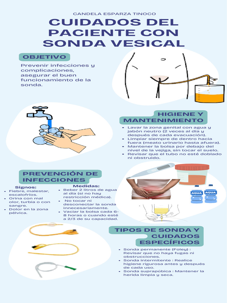 Cuidados Del Paciente Con Sonda Vesical | PDF | Urología | Enfermedades ...