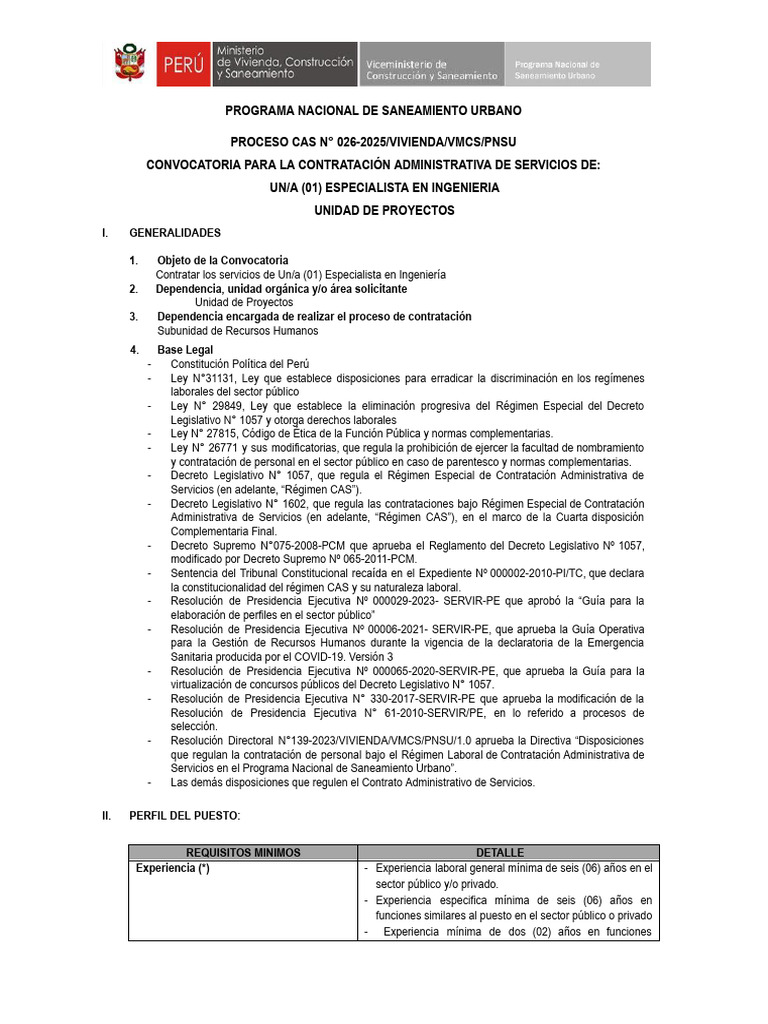 Bases Cas 026-2025 - Una (01) Especialista en Ingenieria | PDF