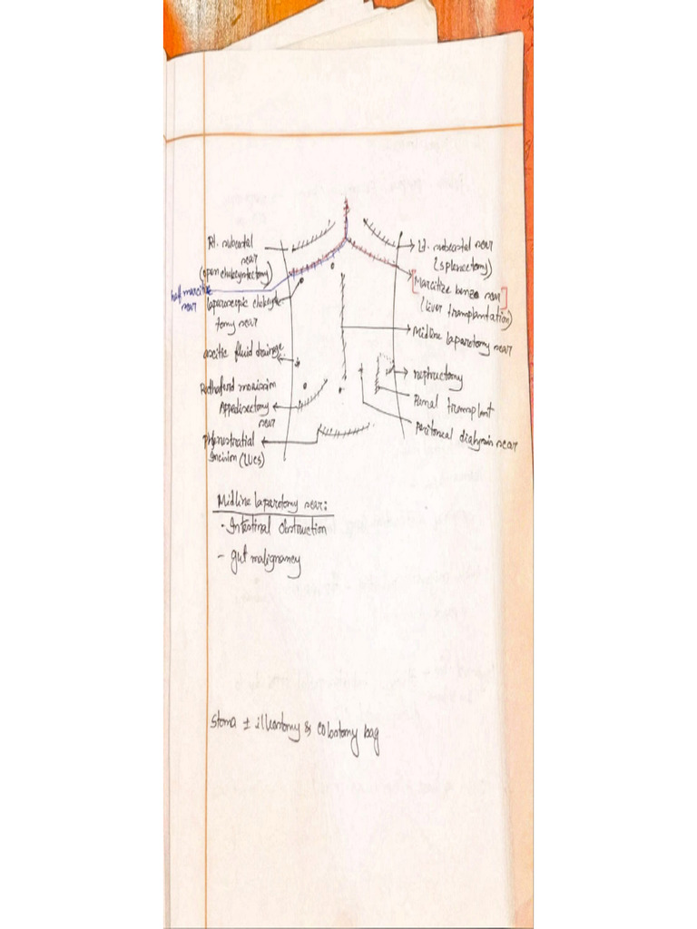 Incision Diagram | PDF