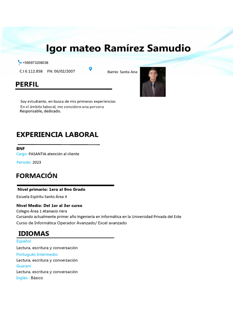 CV IGOR MATEO Ok | PDF