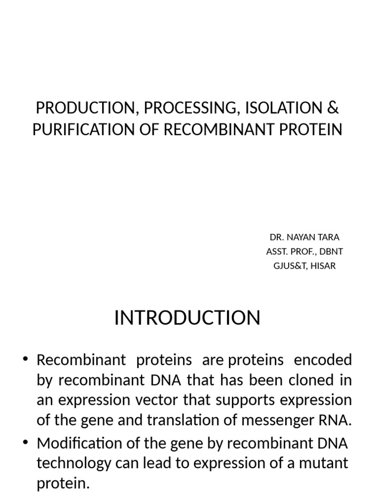 Recombinant Protein Production Guide | PDF | Protein Purification ...