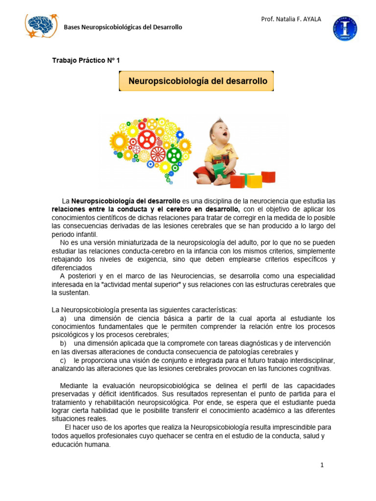 1._Neurop_Introduccion_20 | PDF | Neuropsicología | Cerebro