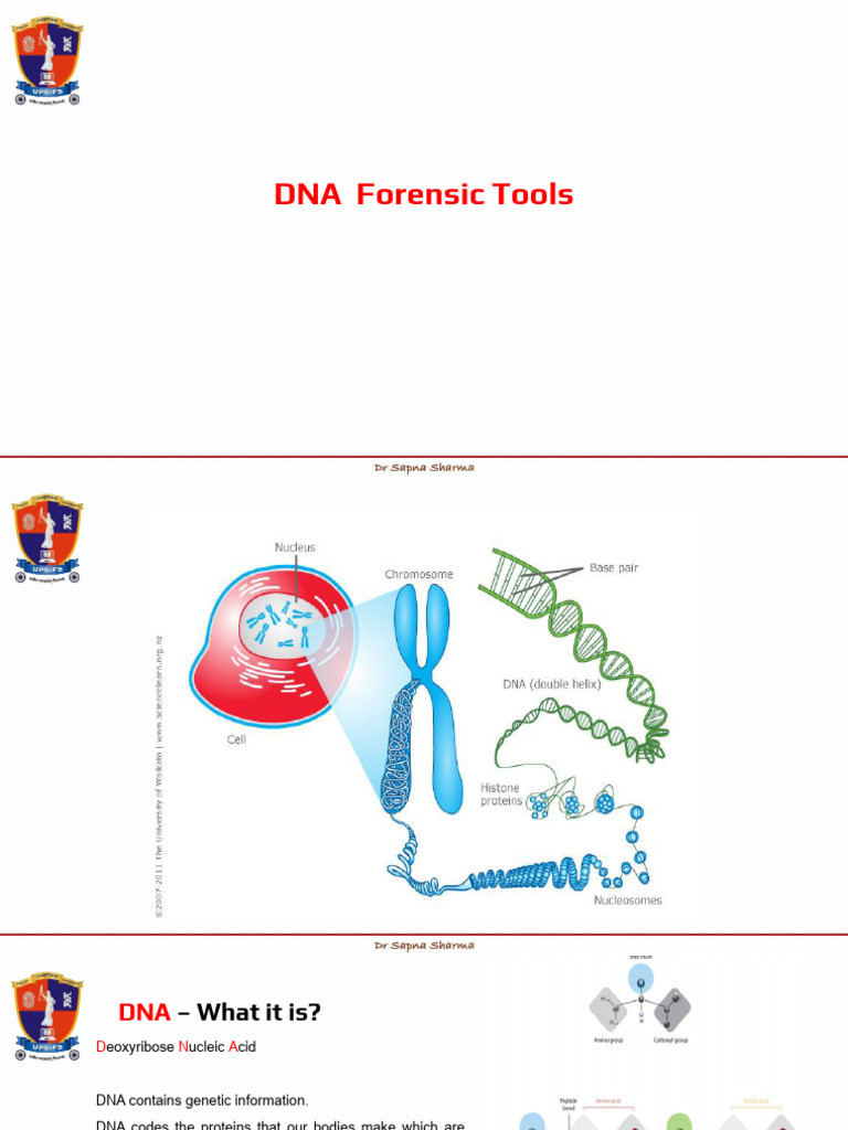 DNA Techniques For Analysis | PDF | Microsatellite | Gel Electrophoresis