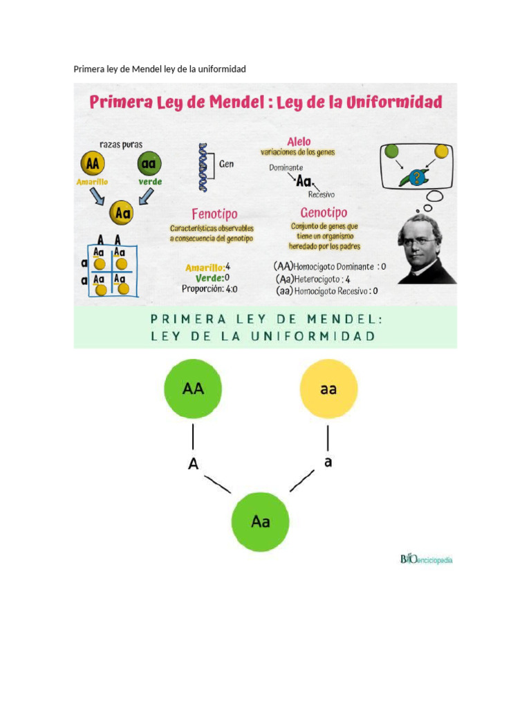 Leyes de Gregor Mendel | PDF