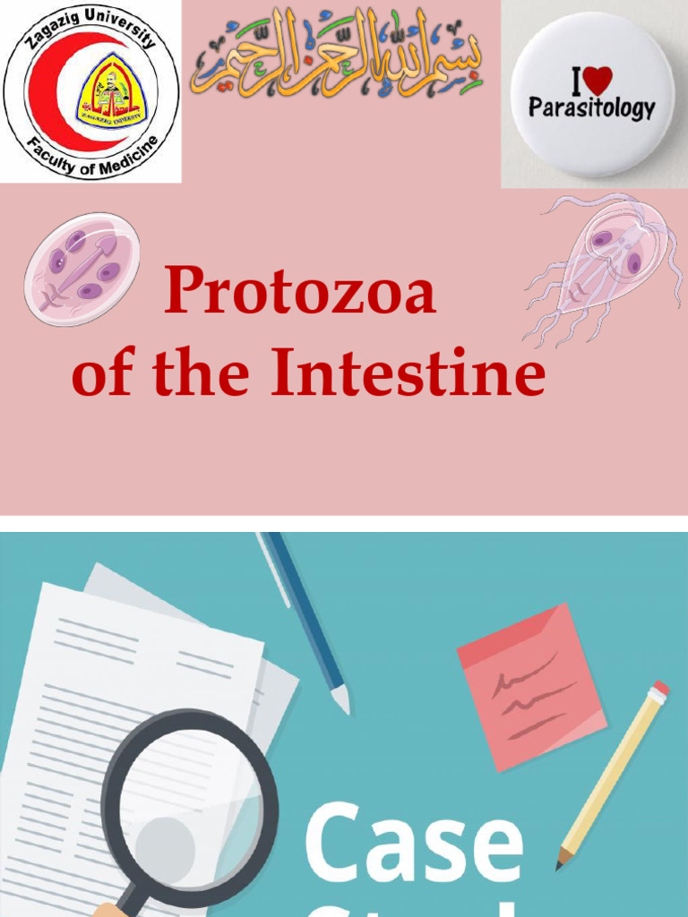 GIT para SGS1 Protozoa of Intestine MHS | PDF | Medical Specialties ...