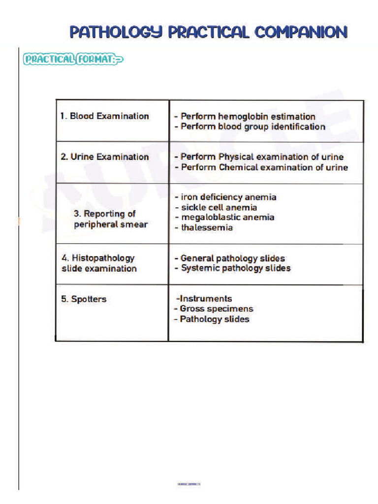patho practical_compressed | PDF