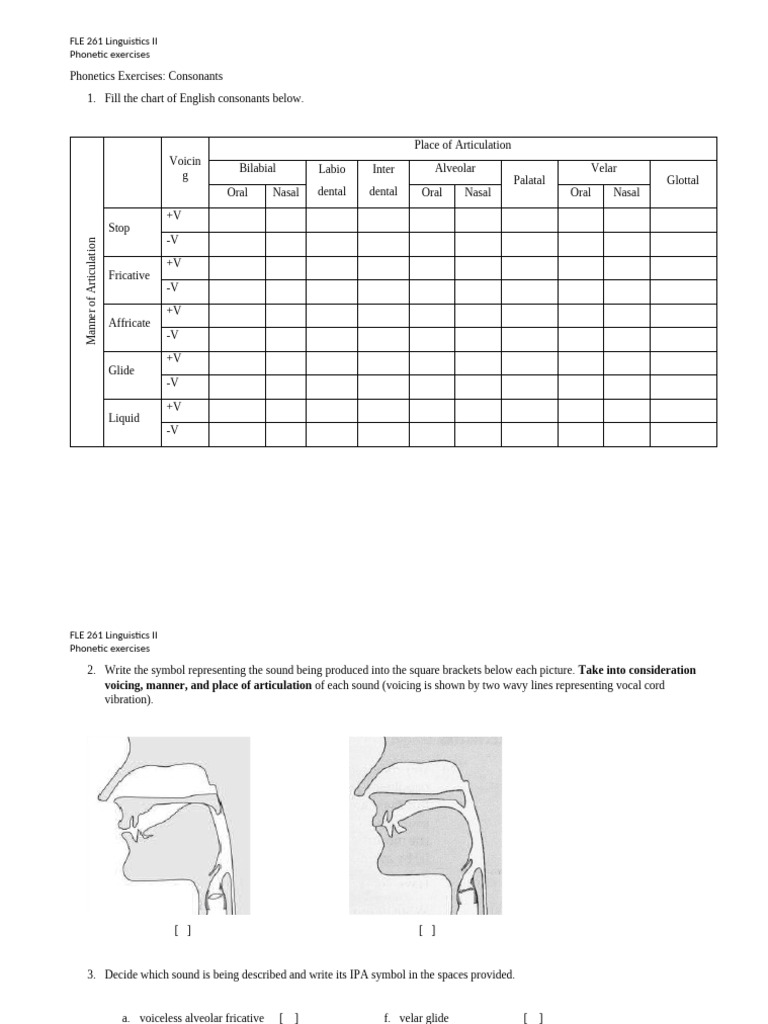 Phonetics Exercises - Consonants | PDF | Phonetics | Human Voice