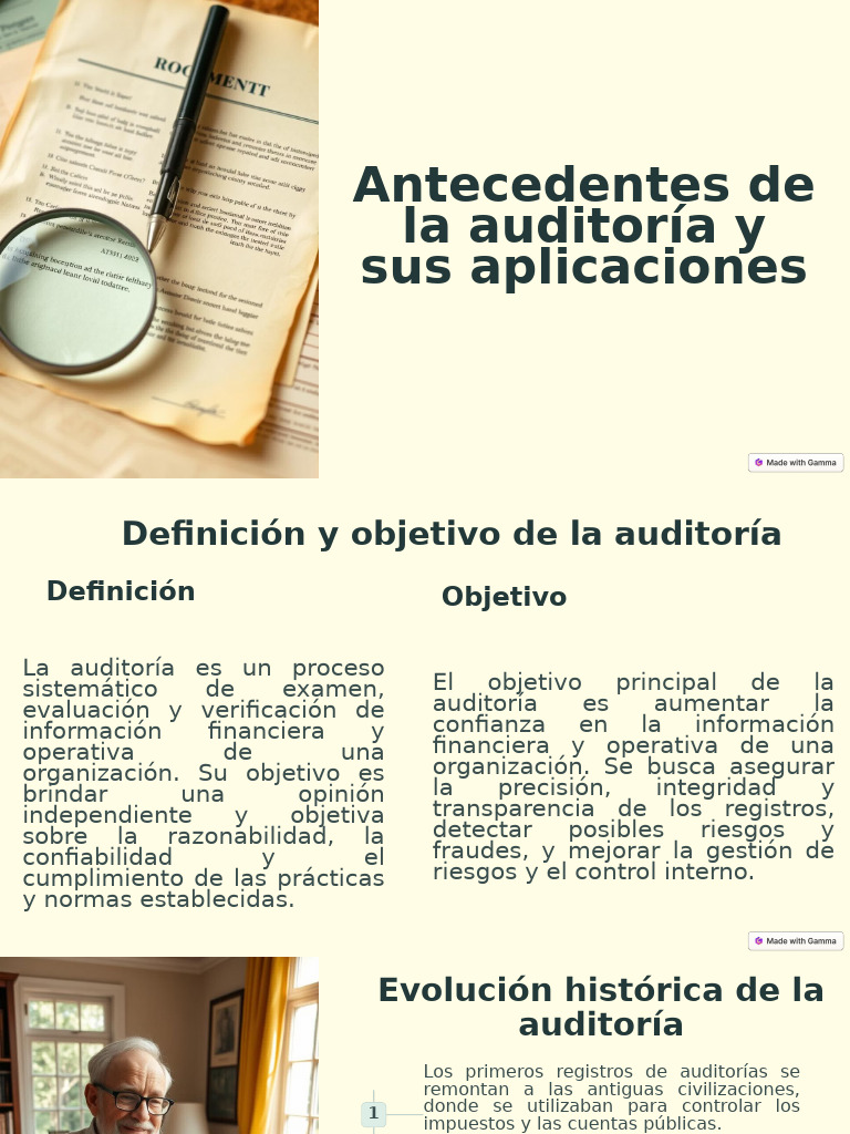 Auditoría: Definición y Tipos Esenciales | PDF | Auditoría | Contralor