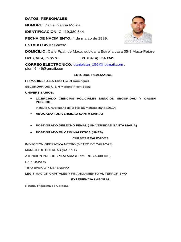 Curriculum Daniel | PDF