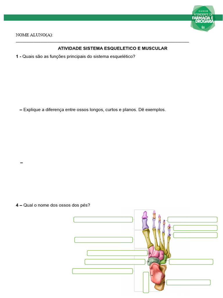 Exercicio Sistema Esq. e Mus. | PDF | Osso | Músculo