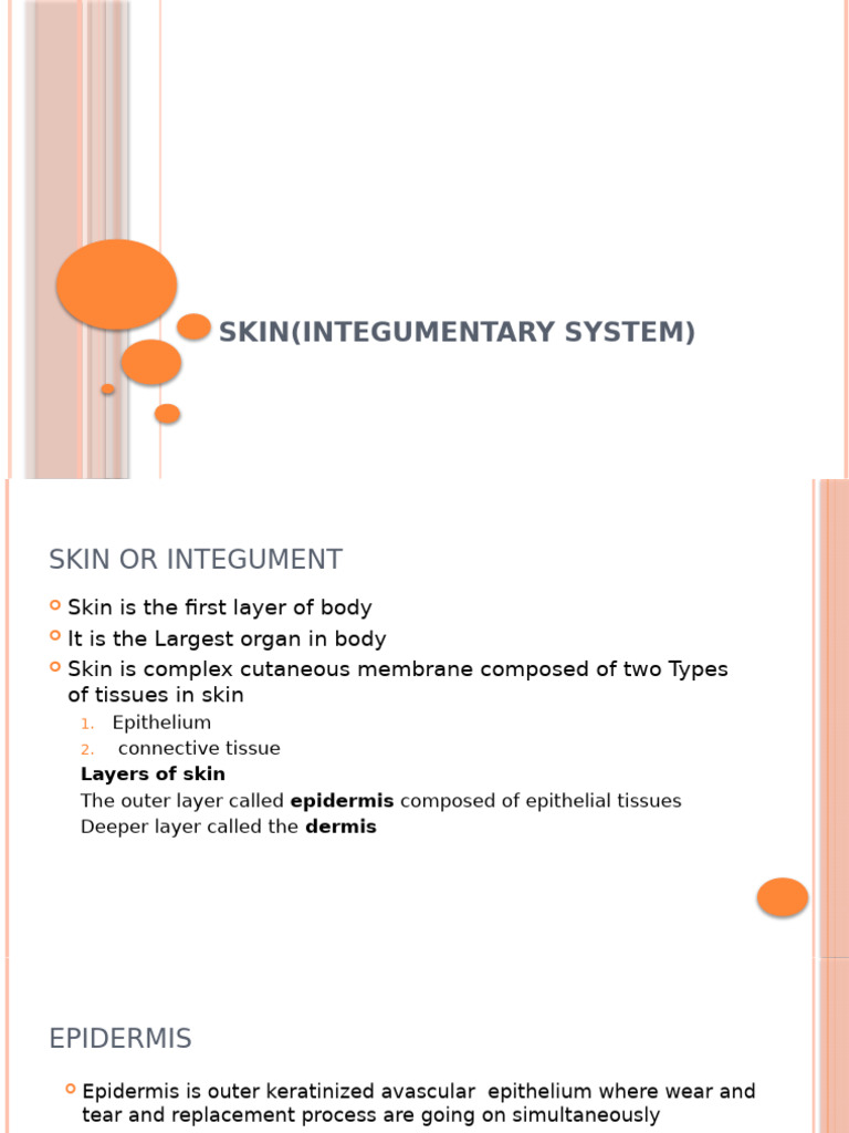 Skin (1) | PDF | Skin | Epidermis