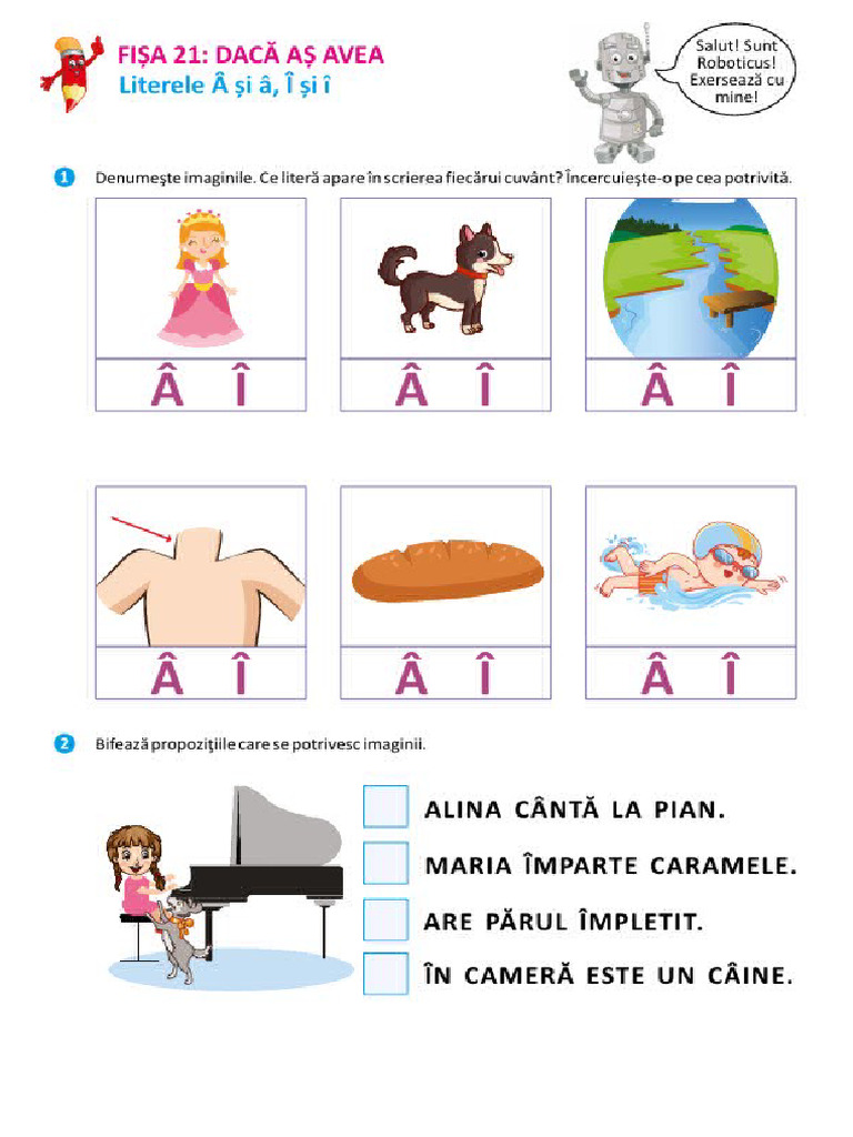 Fisa de Lucru CLR - 20.03.2025 | PDF