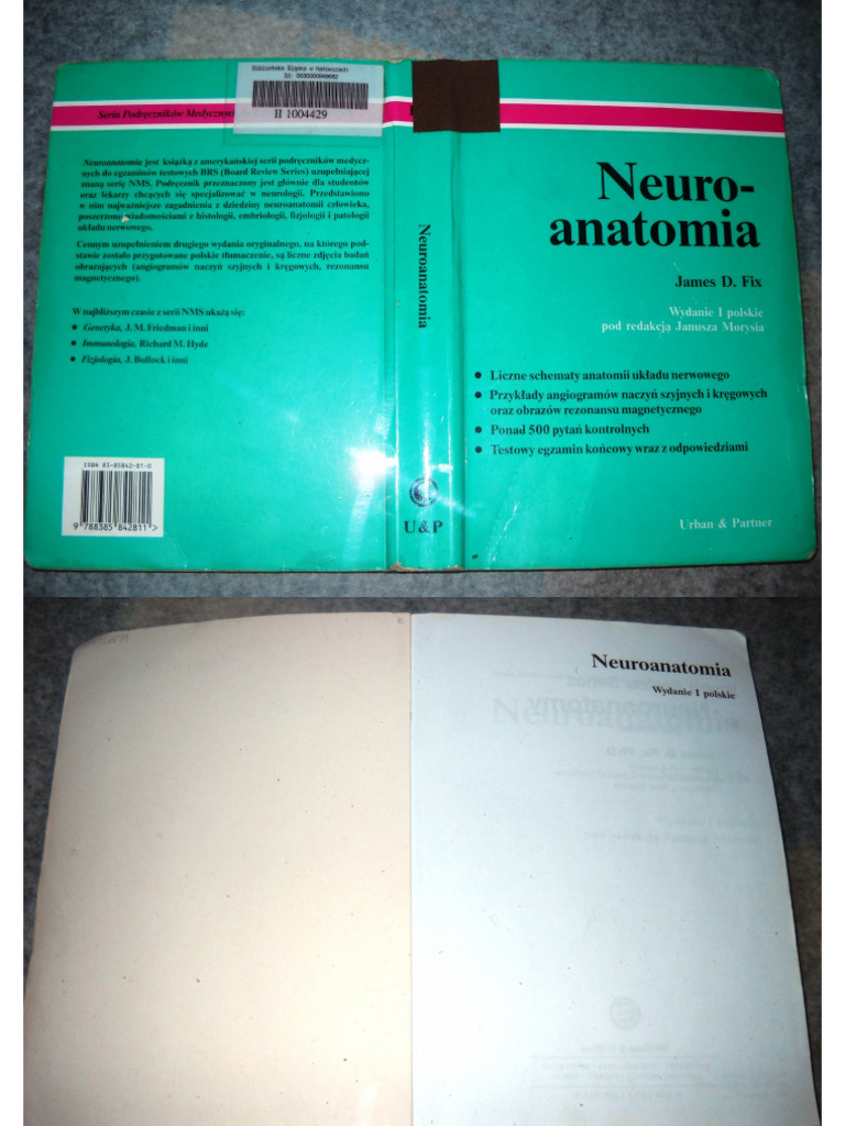 Neuroanatomia James Fix | PDF