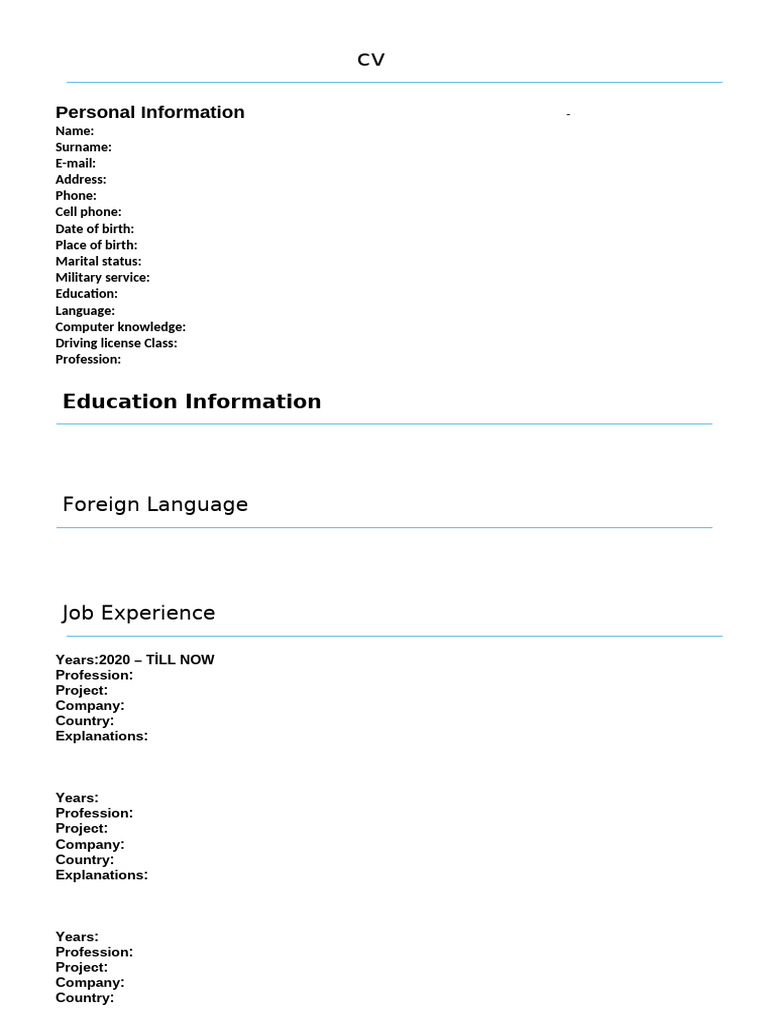 1.english CV Sample | PDF