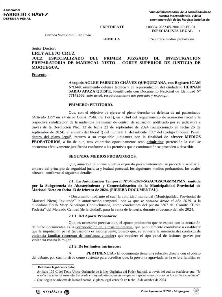 Modelo Medios Probatorios - 1jip | PDF | Separación de poderes | Gobierno