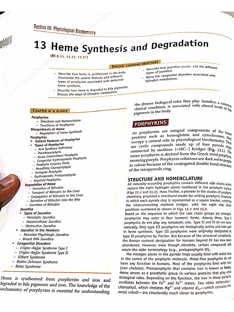 Biochemistry Imps Heme | PDF