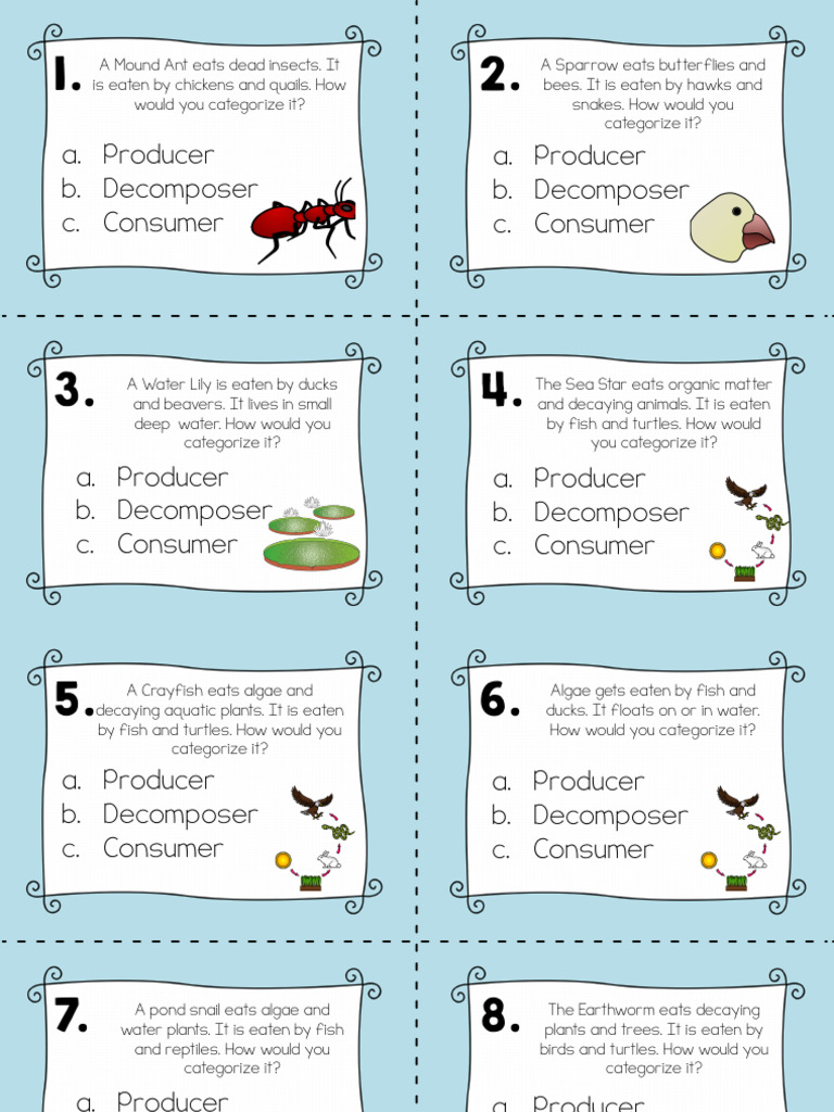 Fun Activity-Food Web | PDF | Pond | Turtle