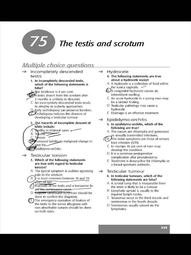 Bailey__The testis and scrotum | PDF