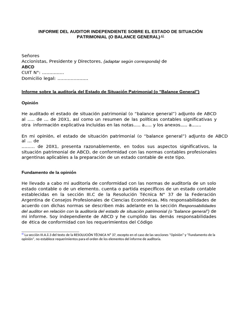 INFORME DEL AUDITOR INDEPENDIENTE III C | PDF | Auditoría | Contabilidad