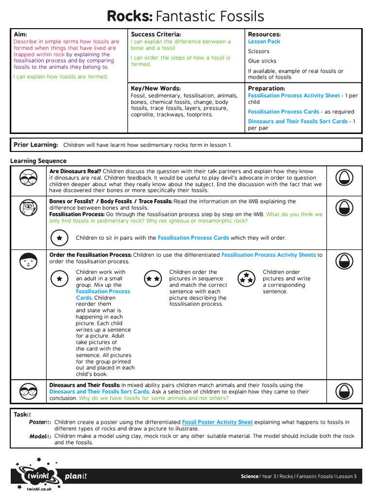 Fossil Formation Steps Worksheet | PDF | Fossil | Rock (Geology)