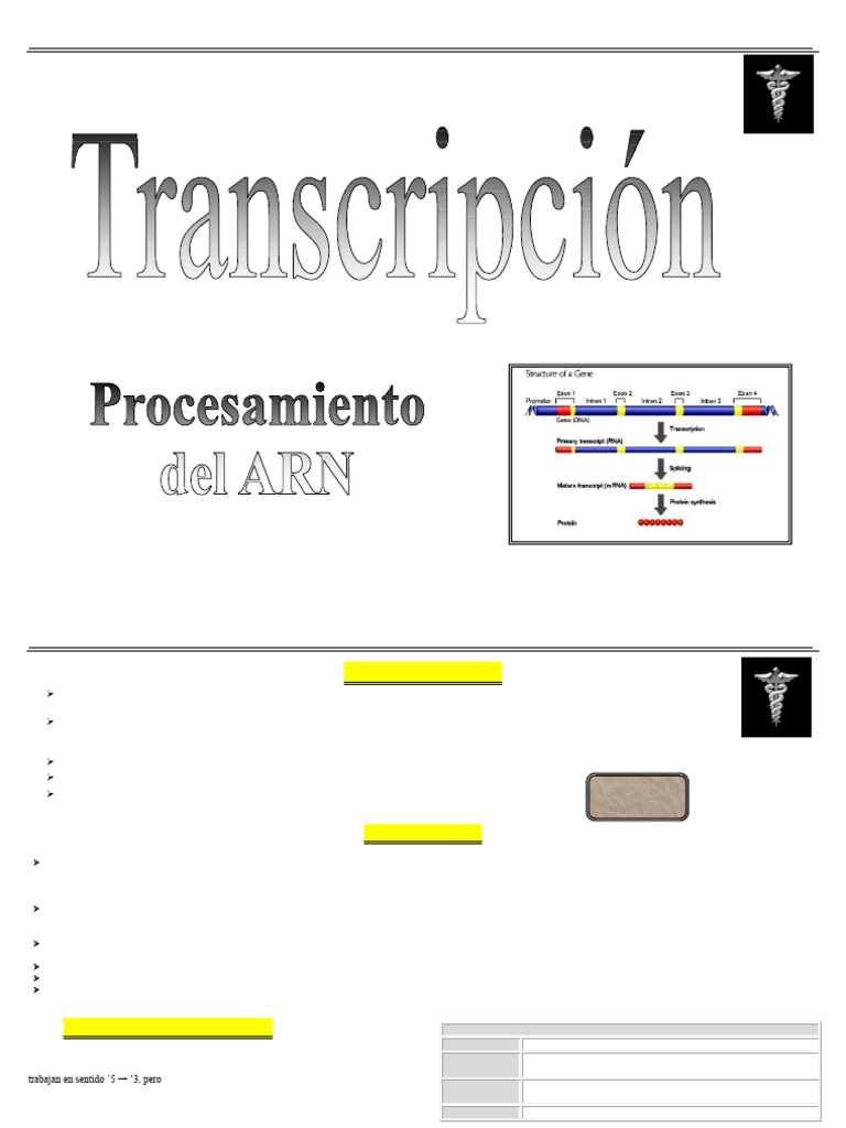 Transcripción-Procesamiento del ARNm | PDF | Rna | Rna Splicing