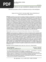 Folder Brasmax 2025 Sul | PDF | Plantas