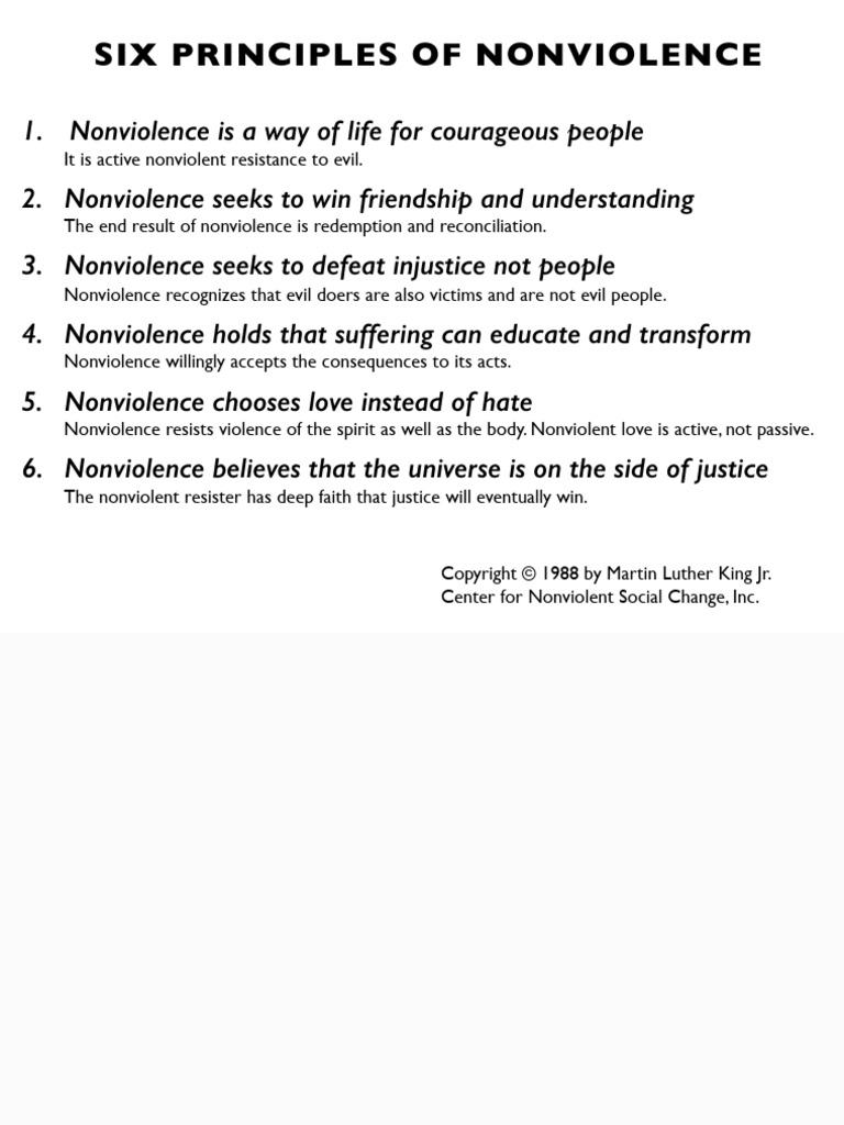 Principles of Nonviolence | PDF