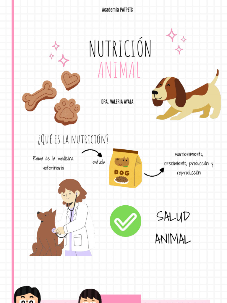 Nutrición Animal | PDF | gordo | Digestión