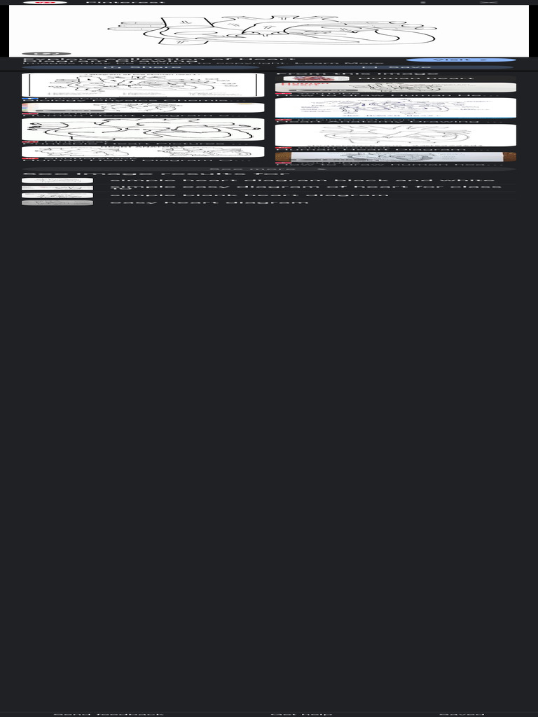 Heart Diagram Black Abd White Drawn Eady - Google Search | PDF