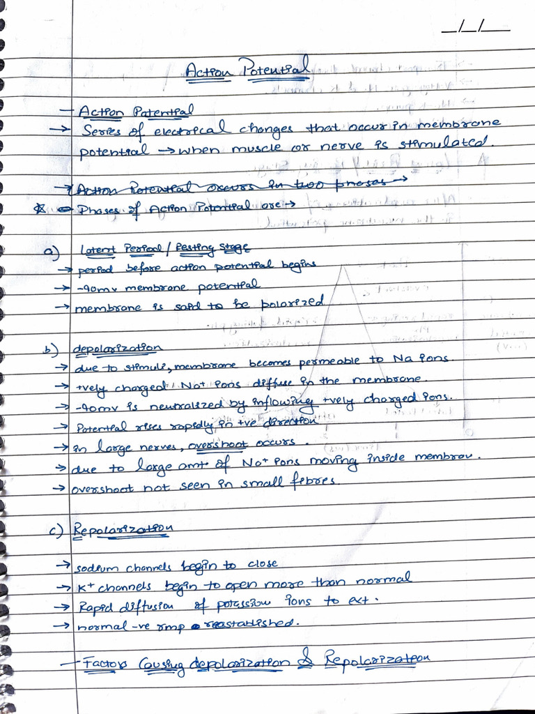 Action Potential | PDF