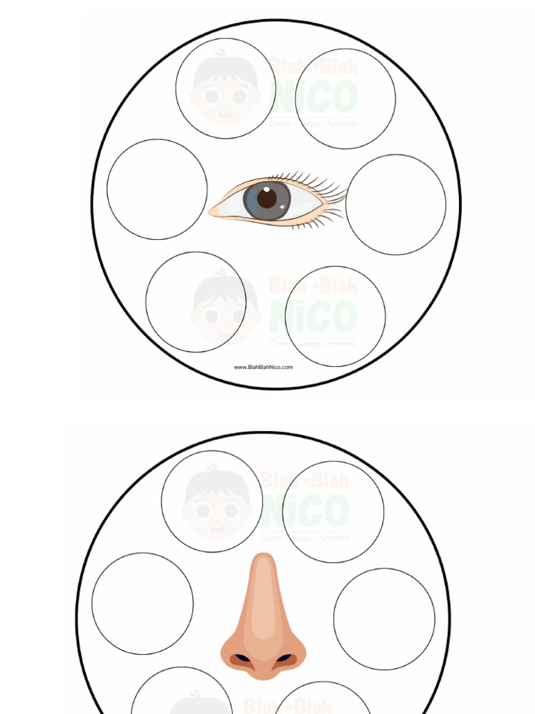 4366e9e2-c359-4ebf-a514-9f2015a4ceef_Los-5-sentidos | PDF