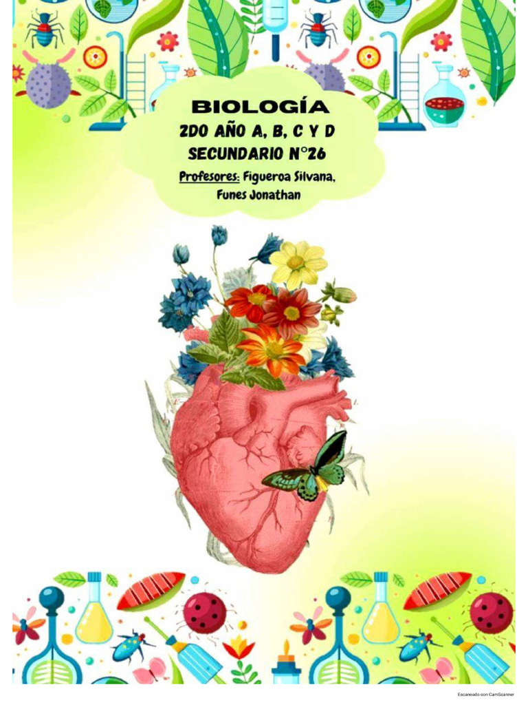 Cuadernillo de 2do Año Sec.26-2025 | PDF