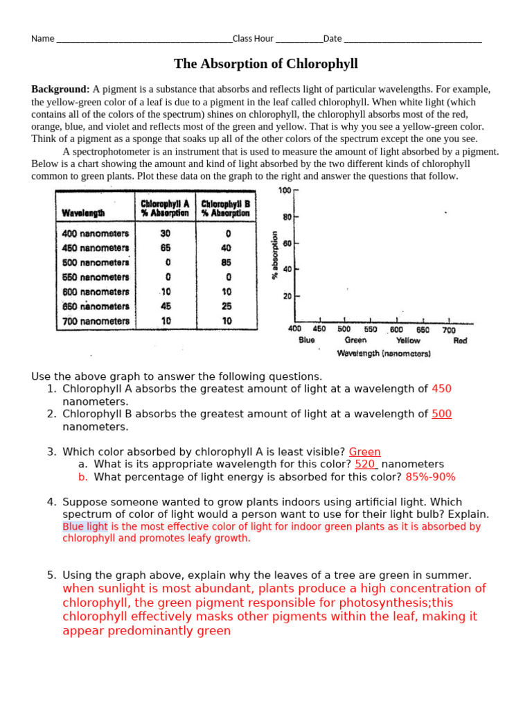 Chlorophyll Absorption Worksheet | PDF | Photosynthesis | Chlorophyll