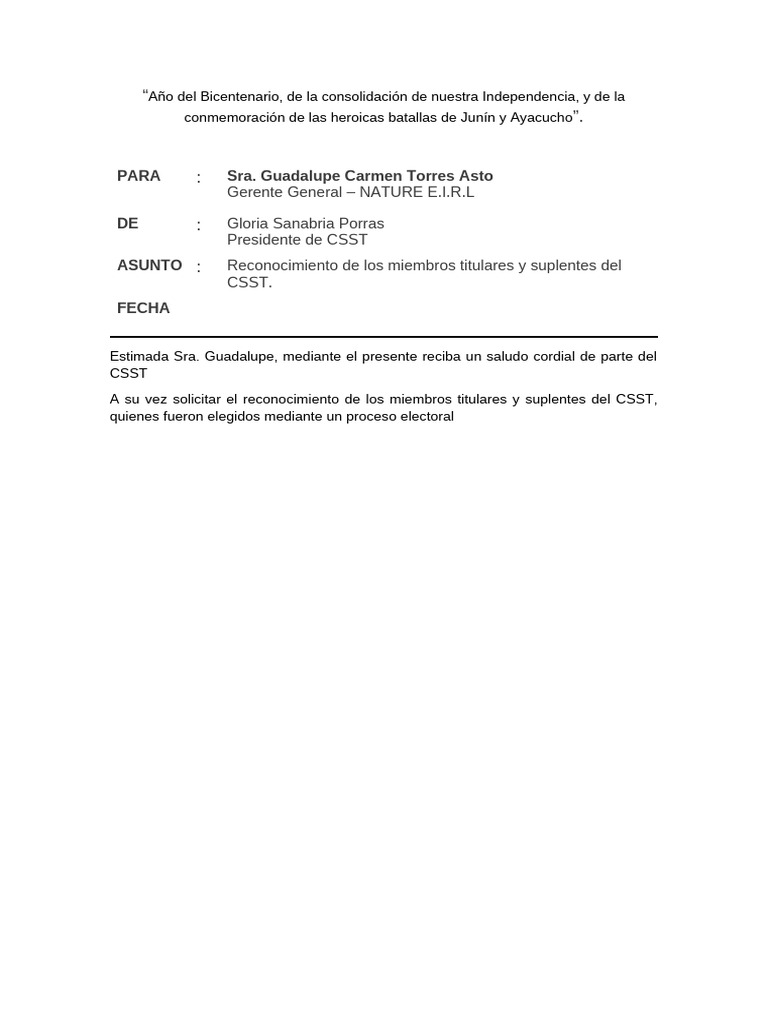 Reconocimiento de Los Miembros Titulares y Suplentes Del CSST. | PDF