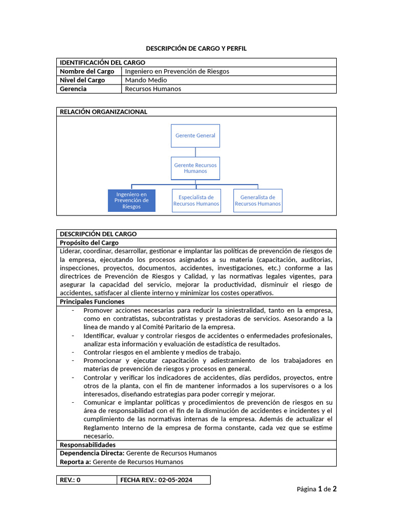 Descripción de Cargo | PDF | Gestión de recursos humanos | Business
