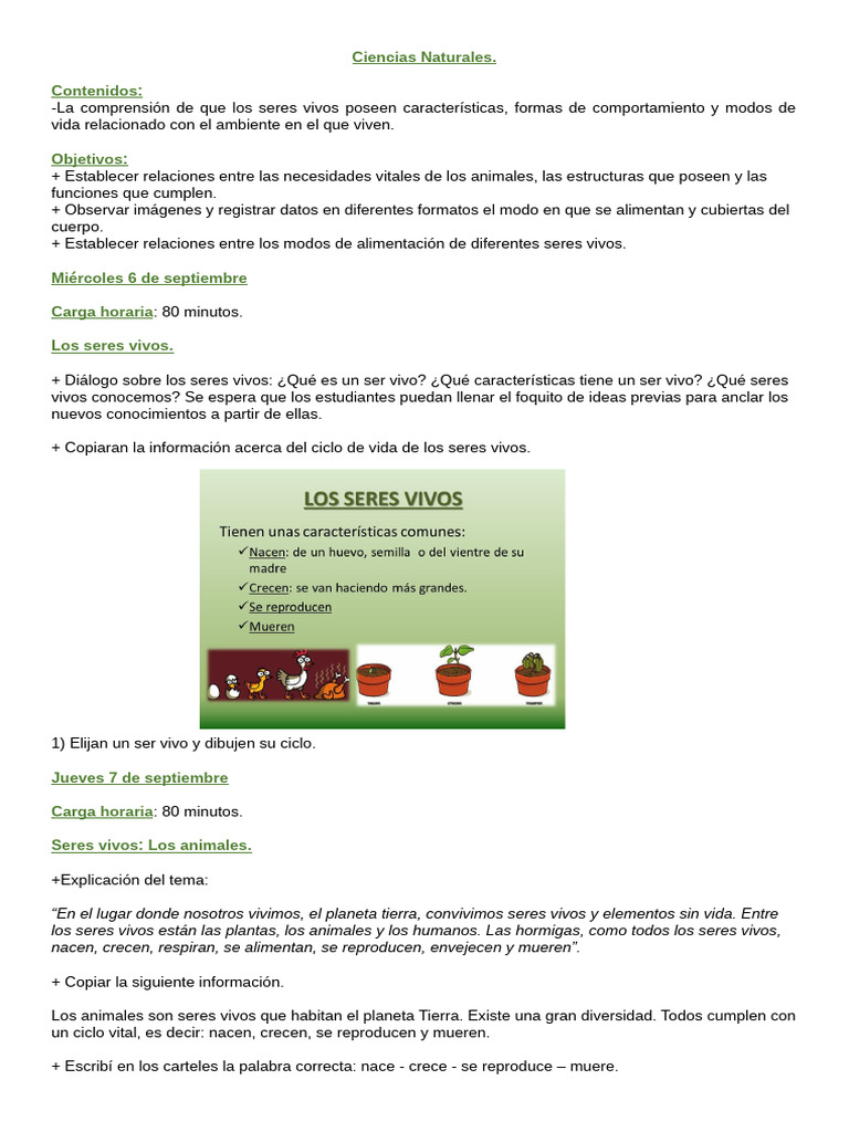 Introducción a los Seres Vivos en Secundaria | PDF | Vida | Pico