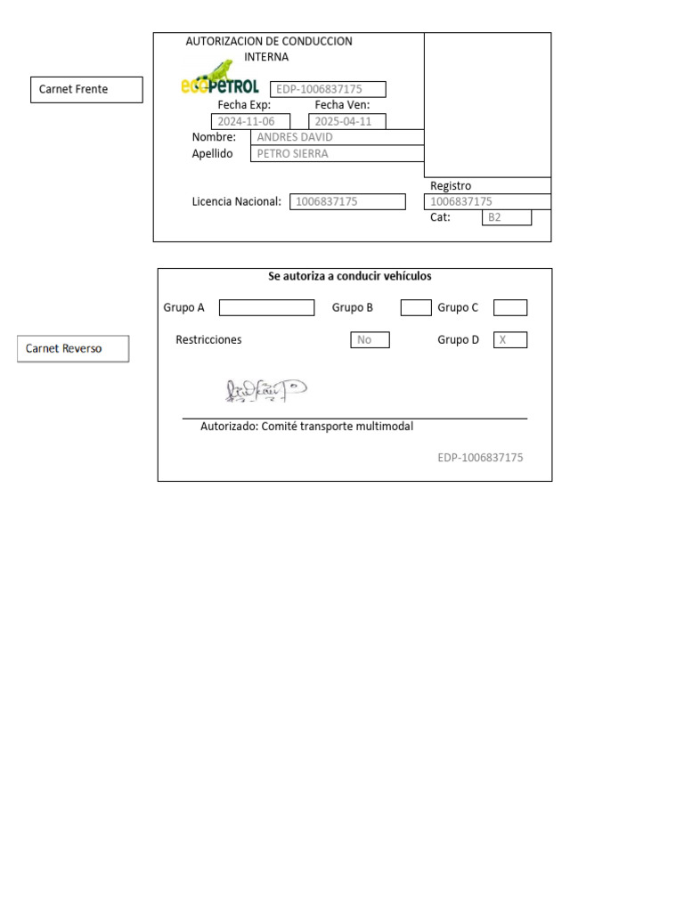Pase 1006837175 Pa Colombia | PDF