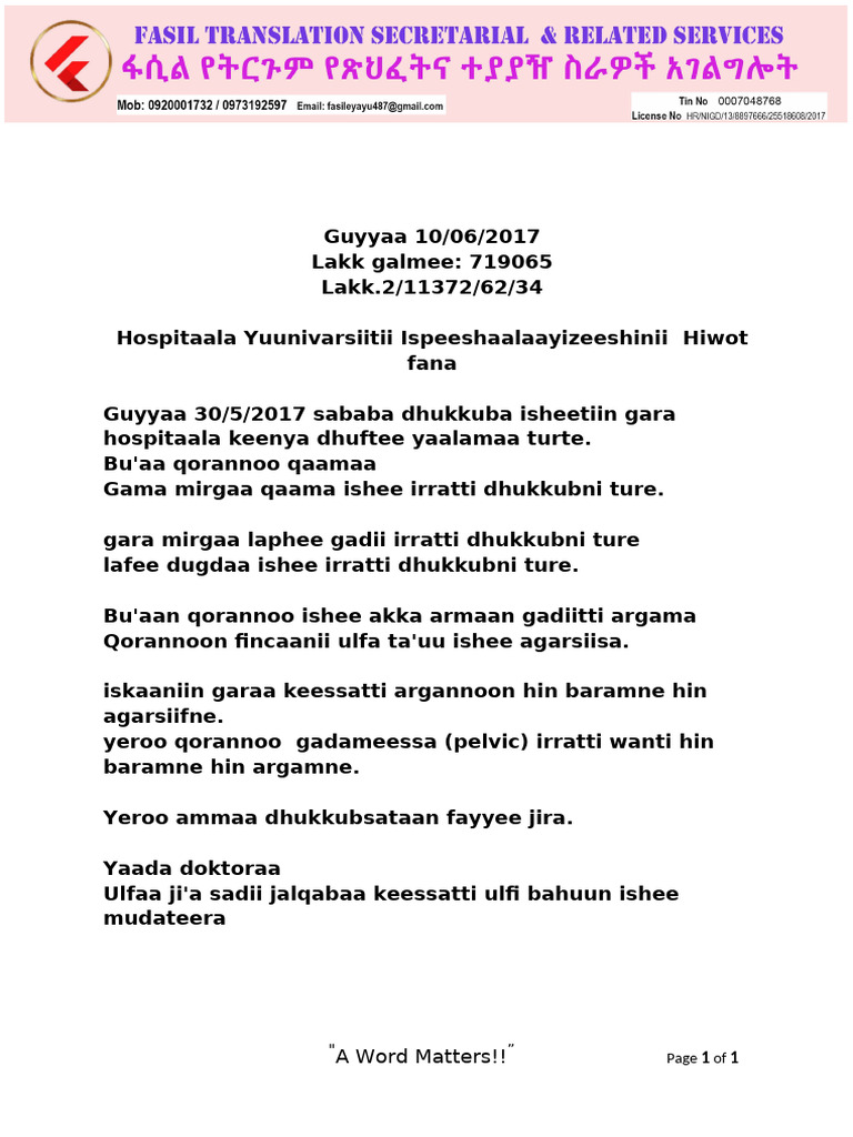 Ayantu Mohammed | PDF