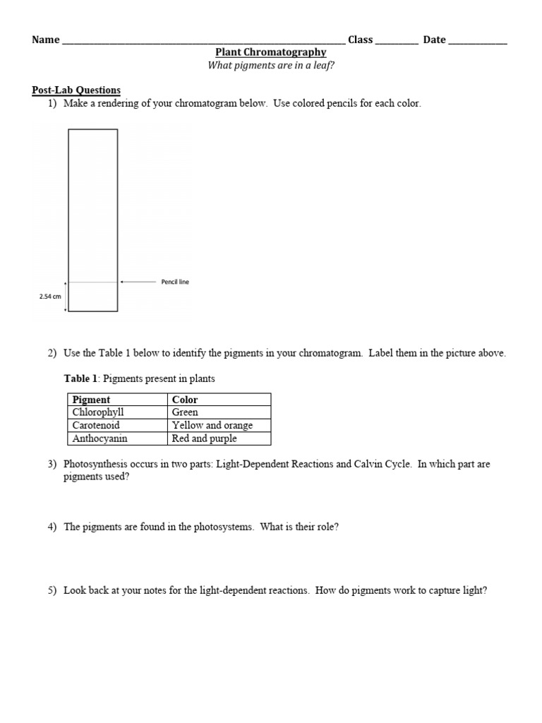 Post-Lab Plant Chromatography- acc bio 2024-2025 | PDF