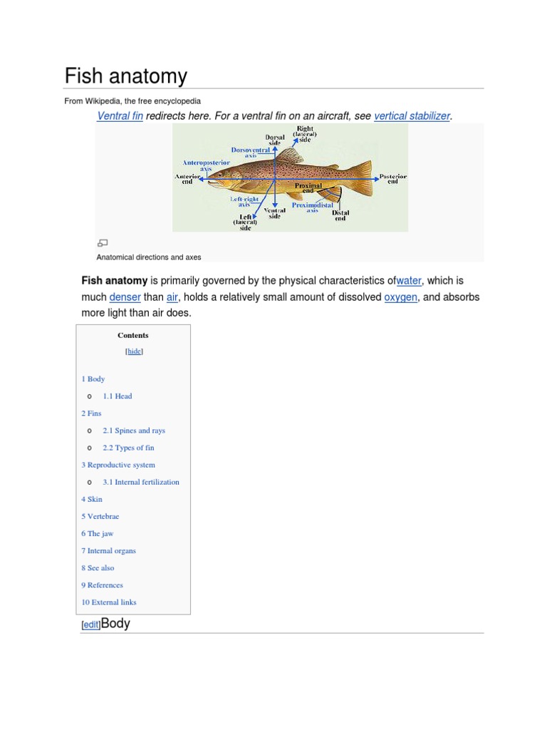 Fish Anatomy: Ventral Fin Vertical Stabilizer | PDF | Vertebral Column ...