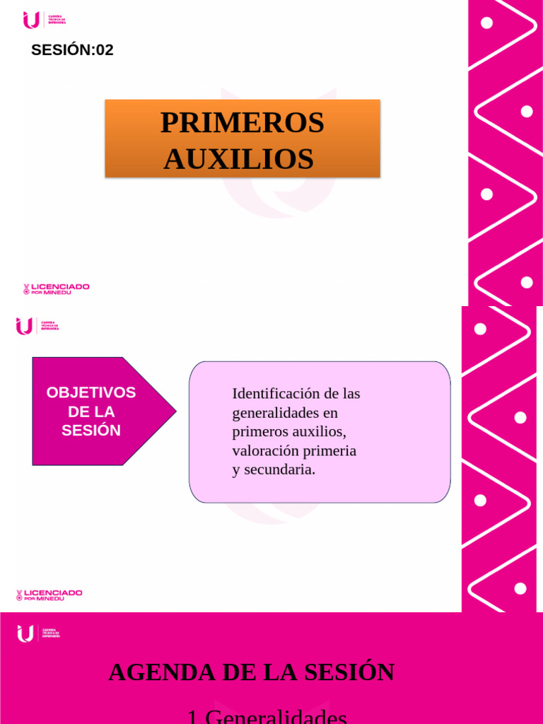 Primeros Auxilios: Guía Esencial | PDF | Legumbres | Corazón