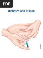 A5 6pp Hypo Trend Connect | PDF | Hypoglycemia | Diabetes