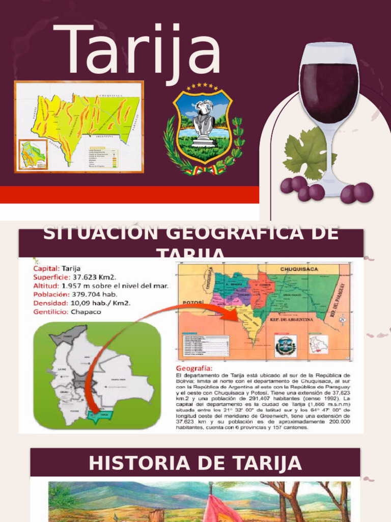 Exposicion Tarija Realidad Nacional | PDF
