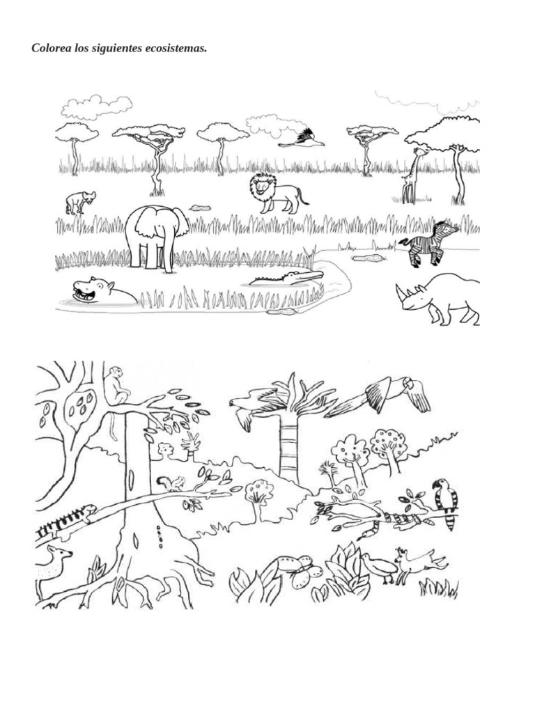 Colorea Ecosistemas Diversos | PDF